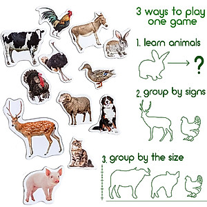 16 Fridge Magnets for Toddlers Magdum - Farm Photo Kids Magnets for Fridge - Toddler Magnets for Refrigerator - Magnetic Animals - Fridge Magnets for Kids - Animal Magnets - Toddler Fridge Magnets