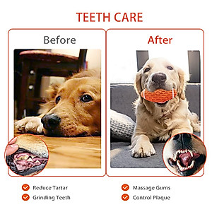 AUSCAT Dog Chew Squeaky Toy Ball, Dog Toy for Aggressive Chewers, Rugby Shape Rubber Chew Ball with Squeaker, Interactive Dog Ball for Fetch Game and Outdoor Play, Orange