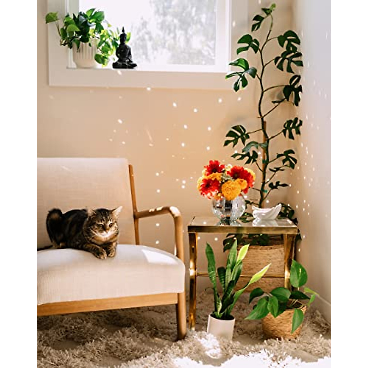 Havenstone Home Hanging Disco Ball Planter 6" with Flat Base - Includes Self-Watering Insert + White Cotton Macrame Plant Hanger- Indoor/Outdoor Plants, Home Décor & Room Décor with Cotton Rope