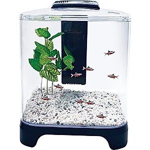 PENN-PLAX NuWave Betta Fish Tank Kit with LED Light and Internal Filter – Black – 1.5 Gallon