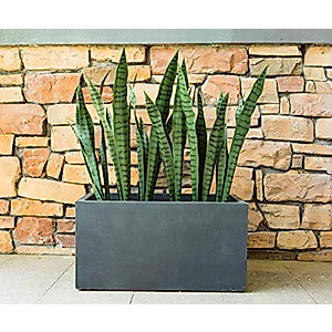 Kante RF0104A-C60121 Lightweight Concrete Modern Long Low Outdoor, Small Planter, Charcoal/Cement