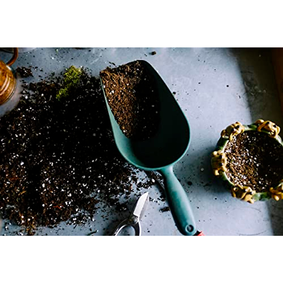 Natural Horticultural Perlite (1 Quart)