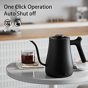 Electric Kettle Gooseneck,0.9L 1200W Tea Coffee Water Heater, 304 Stainless Steel Water Boiler Fast Heating with Auto Shut Off Boil-Dry Protection,30 fl oz