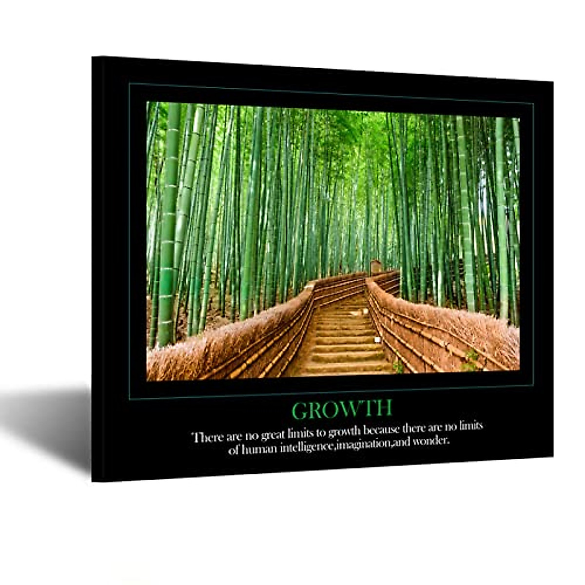 Kreative Arts Motivational Self Positive Office Quotes Inspirational Bamboo Growth Poster Canvas Prints Wall Art for Walls Decoration 20x24inch (Growth)