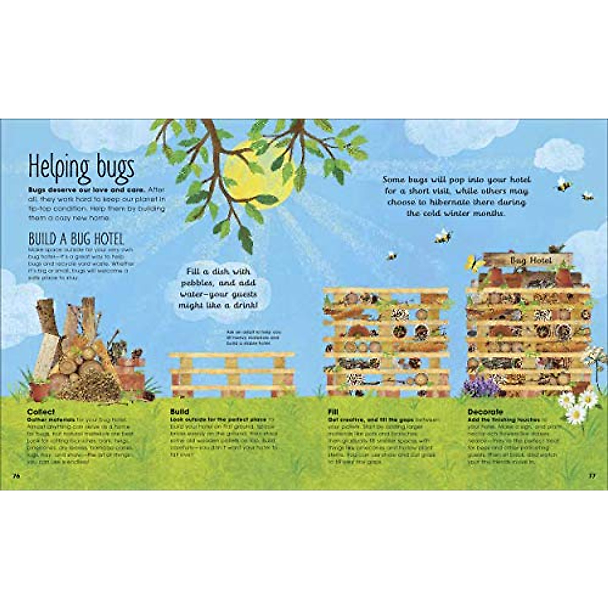 The Book of Brilliant Bugs (The Magic and Mystery of the Natural World)