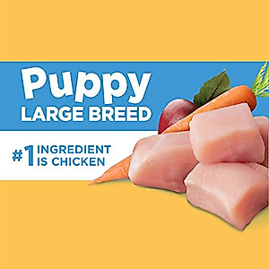 IAMS Smart Puppy Large Breed Dry Puppy Food with Real Chicken, 30.6 lb. Bag
