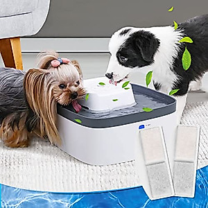 MyfatBOSS Cat Water Fountain Filter and Replacement Pre-Filter Sponges, 12+12 Pack Pet Water Fountain Filters Fit for 100oz/3L Automatic Pet Fountain, Pack of 24