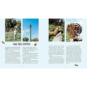 QueenSpotting: Meet the Remarkable Queen Bee and Discover the Drama at the Heart of the Hive; Includes 48 Queenspotting Challenges