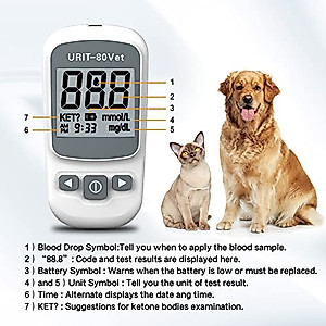 URIT Pet Blood Glucose Meter for Dog Cat with 50 Test Strips, Blood Suger Monitor Kit,Blood Glucose Monitoring System for Dog/Cat Diabetes.