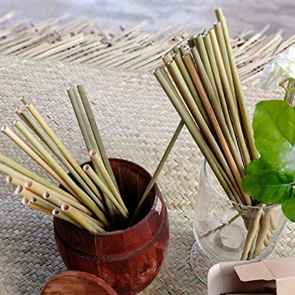 TXV Mart Eco-Friendly Disposable Party Grass Straws Drinking 100% Natural, Biodegradable, and Compostable (Pack of 100)