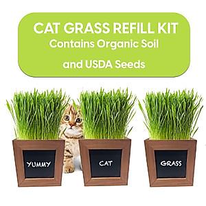 Organic Indoor Cat Grass Kit - 3 Wooden Planters, Certified Seeds, and Premium Soil for Happy Cats. Delight Your Feline Friends with The Ultimate Cat Grass Experience! (Catgrass Refill Kit)