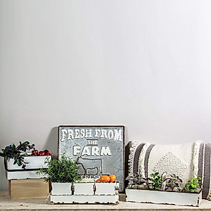 Foreside Home & Garden Rustic White Enamel Slotted Decorative Tray