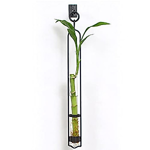 Couronne Co. Florence Hanging Pendant Tube Vase with Wall Hook, M044-001, 16.5 Inch Tall, 2.7 Ounce Capacity, Clear, 1 Piece