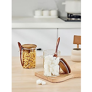 Sweejar Glass Jars with Bamboo Lids and Spoons, Overnight Oats Containers with Lids, Coffee Tea Sugar Yogurt Container Set, 17 ounces, Set of 4(Handle Lid)