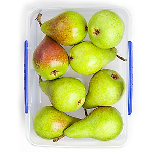 Sistema 1700 Klip It Collection Rectangle Food Storage Container, 2 Liter/67.6 Ounce