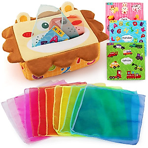 Magic Baby Tissue Box Toy,Funny Sensory Toys for Toddlers,Montessori Toys for Babies 6-12 Months,Soft 6-9-12-24 Month Old Baby Toys,Early Learning Infant Toys Gifts with Crinkle Squares Play Scarves