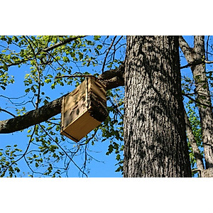 Swarm Science Swarm Lure - for Collecting Honey Bee Swarms - 2 oz Spray Bottle