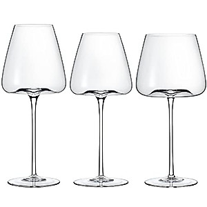 Wine Enthusiast Fleur Pinot Noir Wine Glass – Hand Blown Wide Bowl Glassware with Long Stem for Red Wine Tastings (Set of 2)