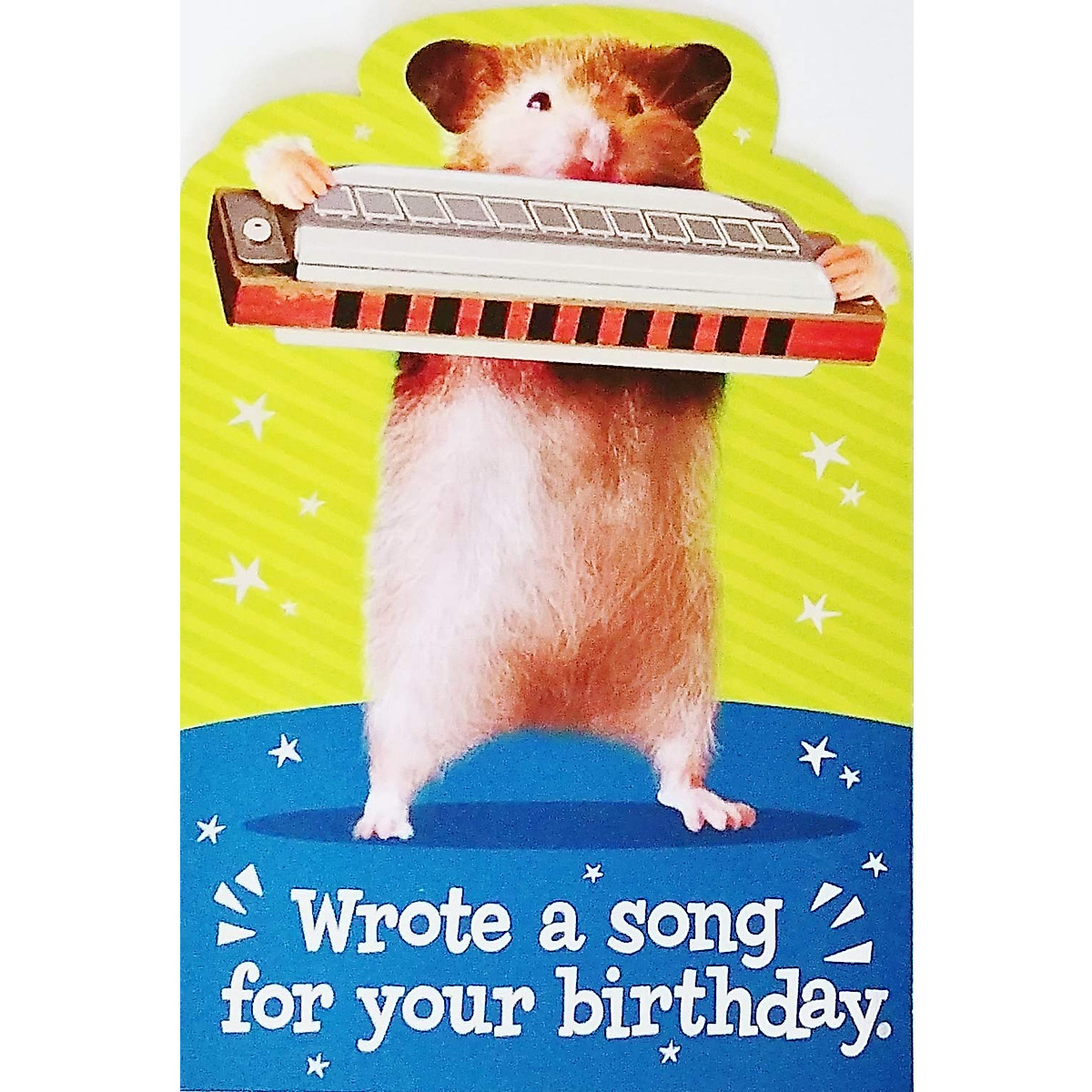 Greeting Card Wrote A Song For Your Birthday Funny Happy Birthday with Hamster Playing Harmonica