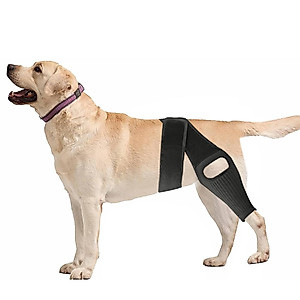 TONTONJIA Dog Knee Brace for Torn Acl Hind Leg Adjustable Dog Back Leg Support Brace, Dog Leg Brace for Hip Dysplasia, Better Recovery with Dog ACL Knee Brace (Medium)