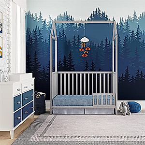 Little Seeds Rowan Valley Skyler 3-in-1 Convertible Crib with Canopy, Dove Gray