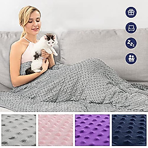 Kivik Weighted Blanket 15 lbs for Adult,Minky Fleece Weighted Throw Full Size,Fuzzy Sherpa Heavy Blanket for Couch,Silver Grey 60x80 Inches