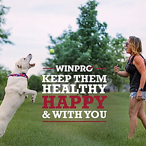 WINPRO Pet Health & Wellness Chews for Small Dogs, 60 Soft Chews, Plasma Powered, Grain Free Supplement for Small Dogs Providing Vitality and Immunity Support