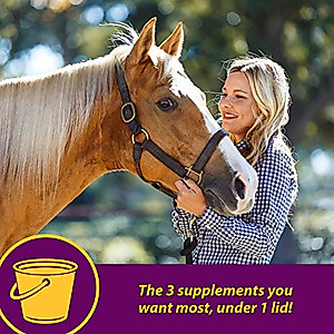 Horse Health Joint Combo Hoof & Coat, Convenient 3-in-1 horse joint supplement provides complete joint, hoof and coat care, 8 lb., 64 day supply