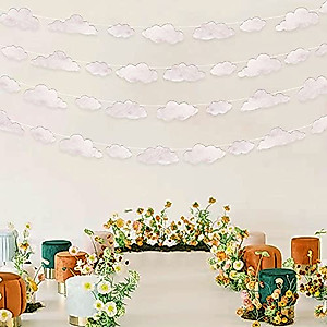 Cloud Party Decoration Kit Garland White Pink Marble Paper Cutouts Streamer Supply Hanging Banner for Birthday Baby Shower Graduation Wedding Under The Sea Kids Room Nursery Backlgroud (Pink Marble)
