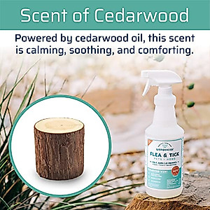 Wondercide - Flea, Tick and Mosquito Spray for Dogs, Cats, and Home - Flea and Tick Killer, Control, Prevention, Treatment - with Natural Essential Oils – 4 oz Lemongrass & Cedarwood 2-Pack