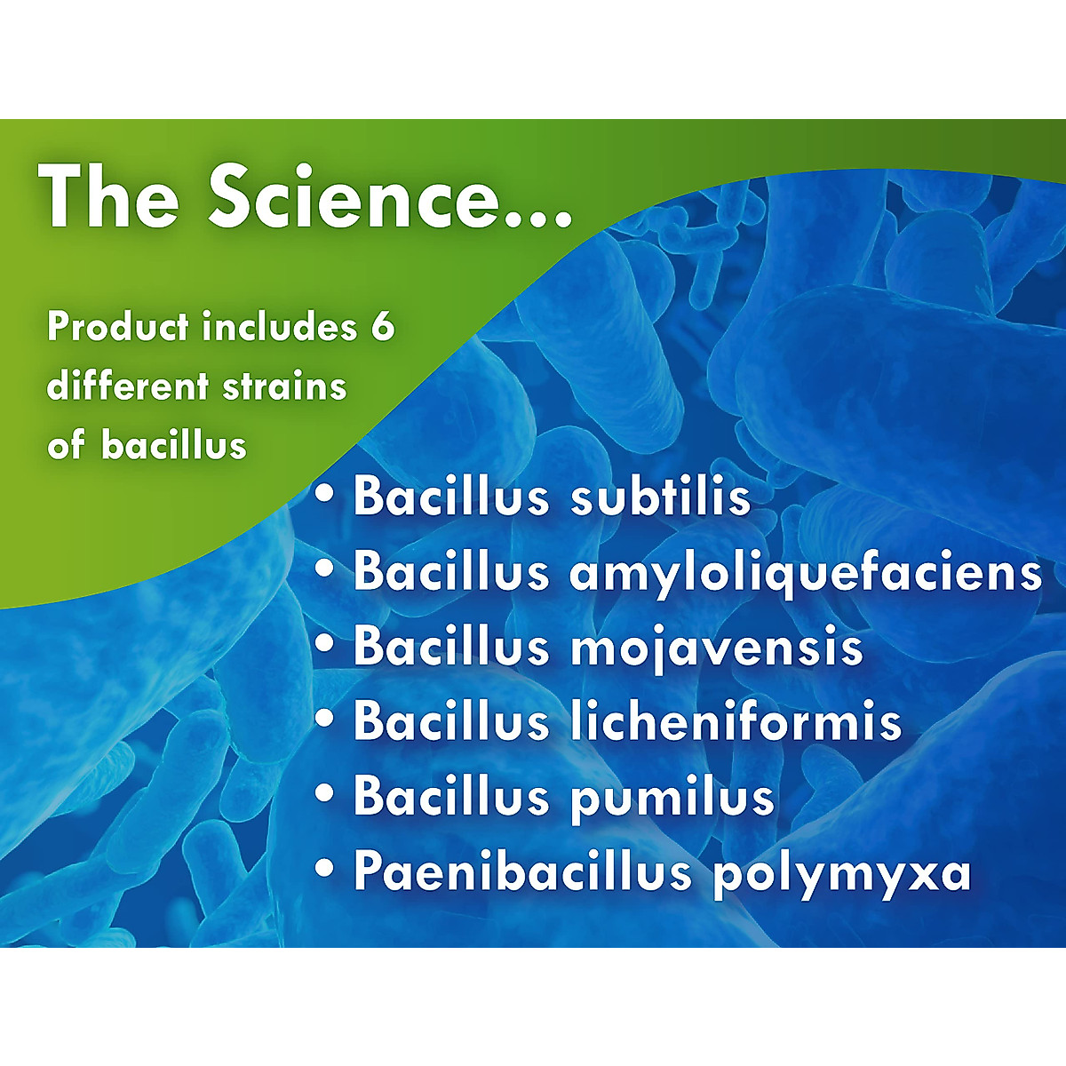 Pondworx Water Clear - Concentrated Formulation Improves Water Clarity and Quality, Helps Clear Cloudy Water, Safe for Fish, Pets, and Plant - 1 Gallon