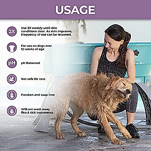 Veterinary Formula Clinical Care Antiparasitic & Antiseborrheic Medicated Dog Shampoo, 16 oz – Paraben, Dye, Soap Free – Hydrating and Antifungal Shampoo for Dogs, White