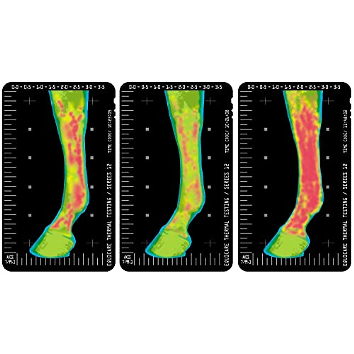 Vita Flex Thermaflex Liniment Gel for Sore Muscles and Joint Relief in Horses 12 Fluid Ounces