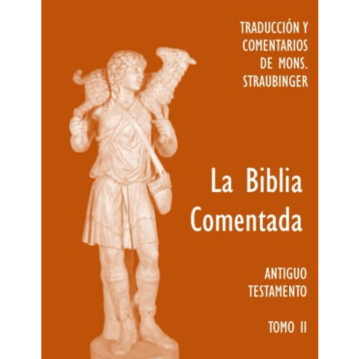 La Santa Biblia Comentada: Tomo II Antiguo Testamento (LA BIBLIA COMENTADA) (Spanish Edition)