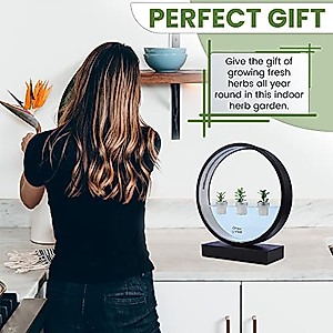 Grow Vival (2-in-1) Soil/Water Hydroponic Growing System - Indoor Garden Planter, (5) Baskets - Round Design with Grow Lights - Ideal for The Home or Office - DIY Create Your Own - Black