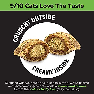 Pet Honesty Cat Hairball Support Chews - Cat Hairball Solution, Supports Skin & Coat and Digestion, May Help Eliminate Furballs, Cat Vitamins and Supplements - Chicken (30-Day Supply)
