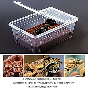 2 PCS Reptile Small Snake Feeding Box Lizard Tarantula Habitat Cage Hatching Container Transparent Portable Plastic Mini Pet Houses for Scorpion Spider Frog