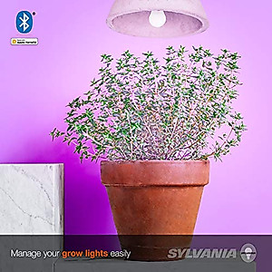 SYLVANIA Smart Bluetooth Smart Plug, Works with Apple HomeKit and Siri Voice Control, No Hub Required, White - 1 Pack (74582)