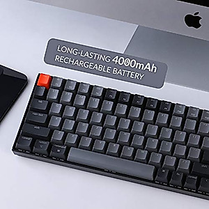 Keychron K4 96% Layout 100 Keys Wireless Bluetooth 5.1/Wired USB Mechanical Gaming Keyboard with Gateron G Pro Blue Switch RGB Backlight N-Key Rollover for Mac Windows PC-Version 2