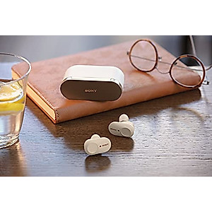 Sony Industry Leading Noise Canceling Truly Wireless Earbuds Compatible with Alexa Voice Control, Silver - Worldwide Version