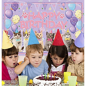Cat Party Decoration Supplies - Cat Happy Birthday Backdrop Kitten Photography Background, for Cat Lover, Children Kids Cat Theme Birthday Decorations