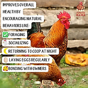 Pampered Chicken Mama Organic Chicken Kelp: Chicken Vitamins Supplement & Duck Feed Supplement 1LB