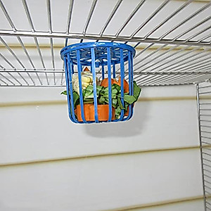 GANAZONO Parakeet Toys Small Bird Toys Bird Feeder Cage Fruit Vegetable Holder Hanging Basket Container Foraging Toys 10Pcs for Pet Bird Parrot Budgie Lovebird Bird Cage Food Holder Parrot Toys