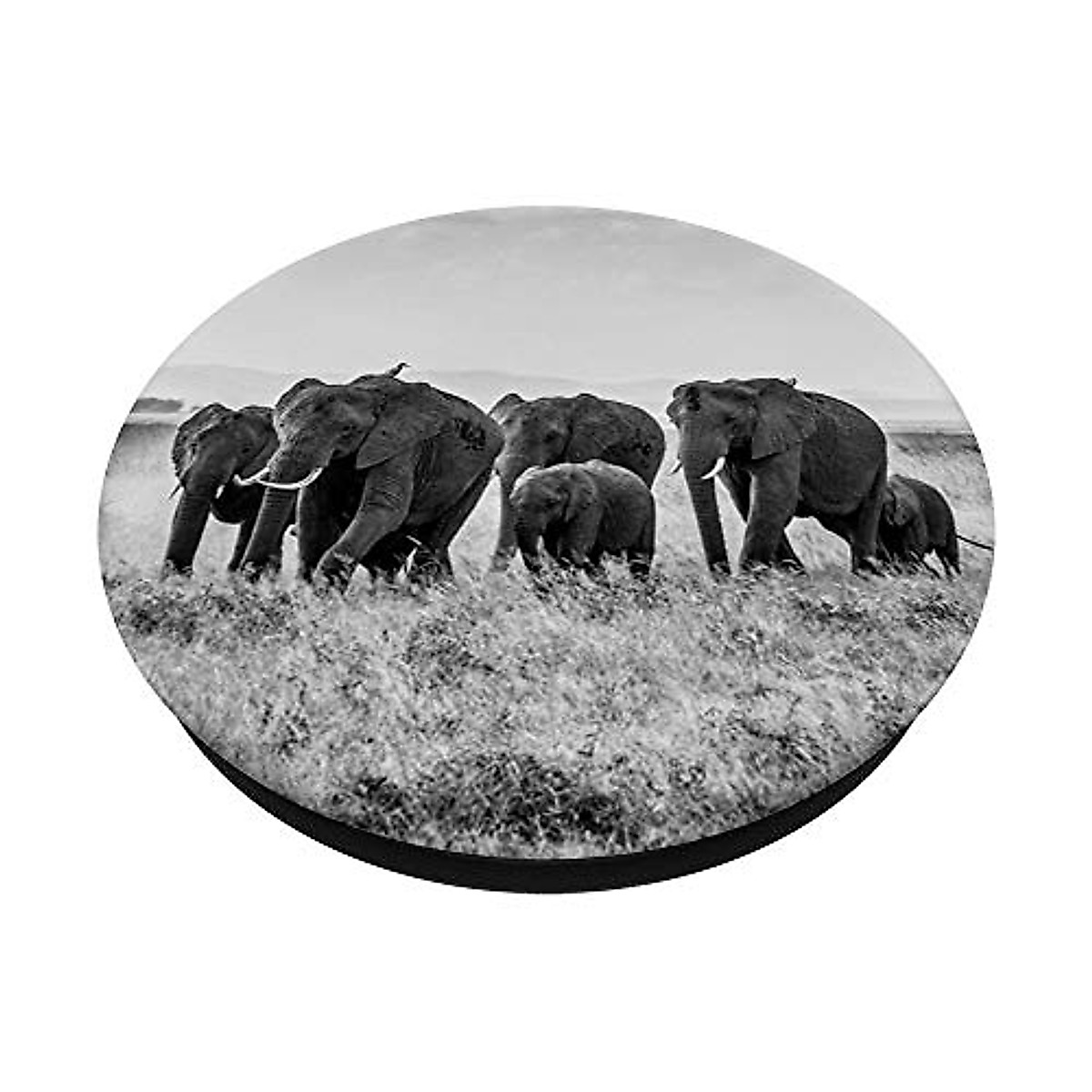 Elephants PopSockets PopGrip: Swappable Grip for Phones & Tablets