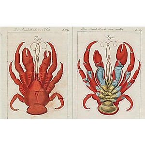 John Derian Sticker Book (John Derian Paper Goods)