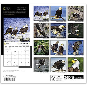National Geographic Eagles 2021 Wall Calendar