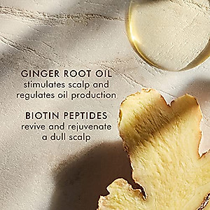 Moroccanoil Oily Scalp Treatment, 1.5 Fl Oz