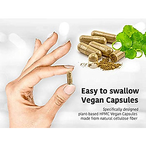 DR WAKDE'S Sariva Capsules (Anantomoola | Hemidesmus indicus) | 60 Veg Caps | Ayurvedic Supplement | Vegan | 100% Herbal | Quantity Discounts | Same Day Dispatch