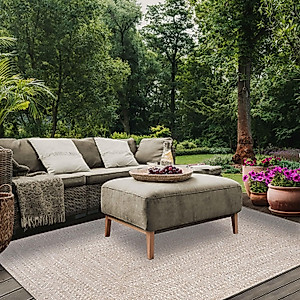 Superior Indoor/Outdoor Area Rug, Dual-Tone Reversible Braided Floor Decor for Patio, Front Porch, Entryway, Living Room, Office, Nursery, Artistic Home, 6' x 9', Latte-White