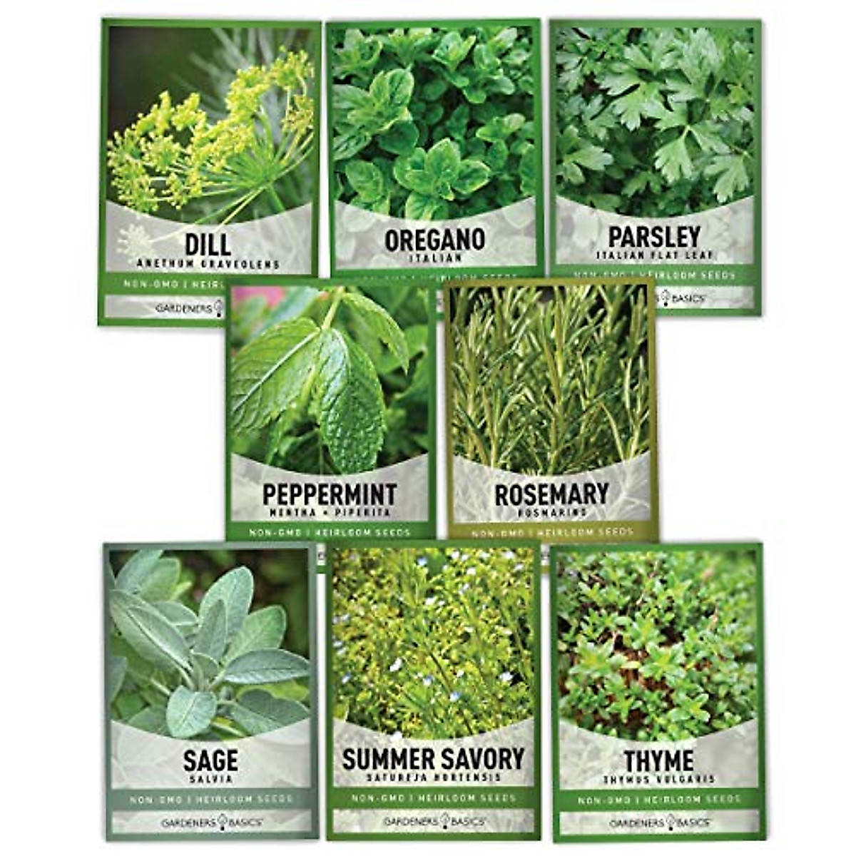 15 Herb Seeds For Planting Varieties Heirloom Non-GMO 5200+ Seeds Indoors, Hydroponics, Outdoors - Basil, Catnip, Chive, Cilantro, Oregano, Parsley, Peppermint, Rosemary and More By Gardeners Basics